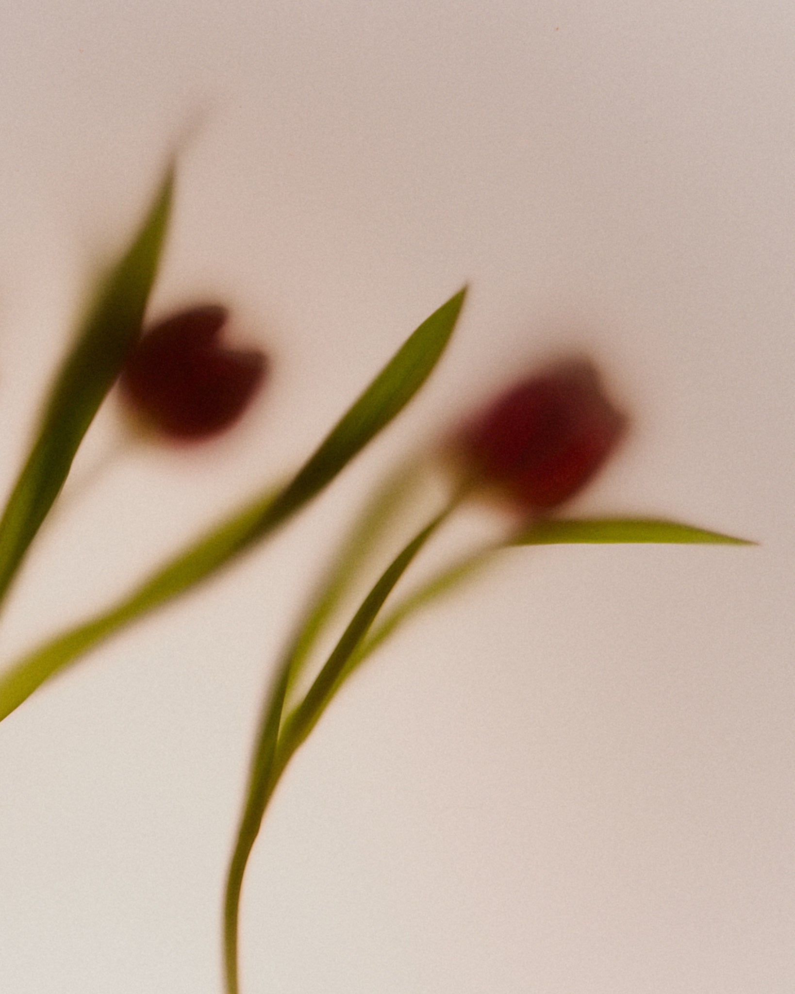 Our Story – Skin Divinity Cosmetic Clinic